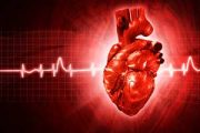 Puls - Anatomie, Funktion, Beschwerden » Krank.de