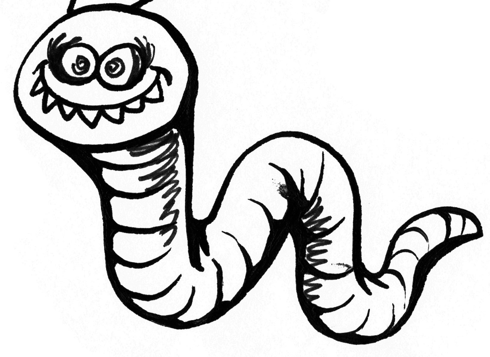 Spulwürmer (Ascaris lumbricoides) Krankheitserreger - Vorkommen ...