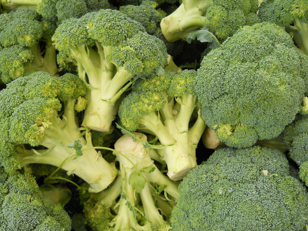 Der Broccoli - Wissenswertes, Nährwerte, Allergien & Zubereitung » Krank.de