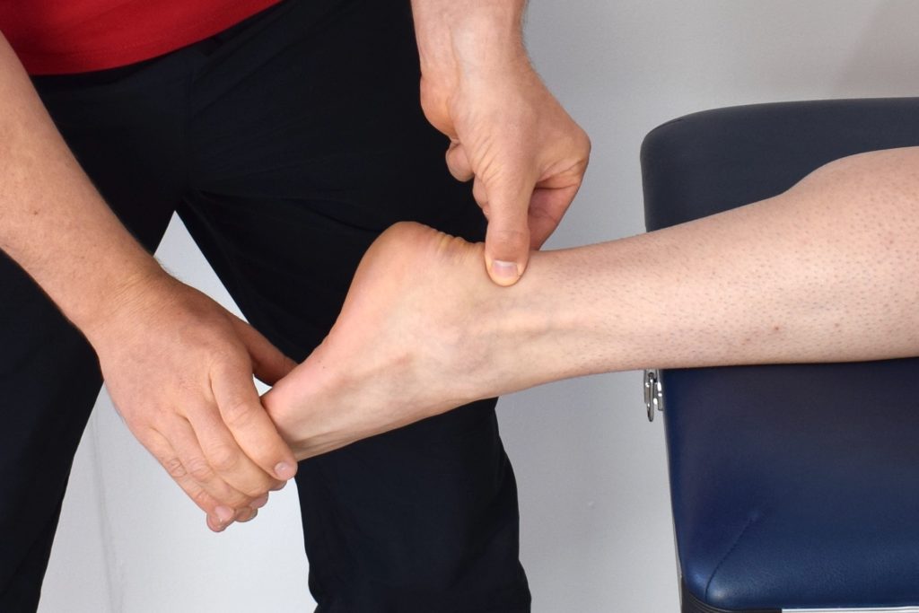 Sehne - Anatomie, Funktion, Beschwerden » Krank.de