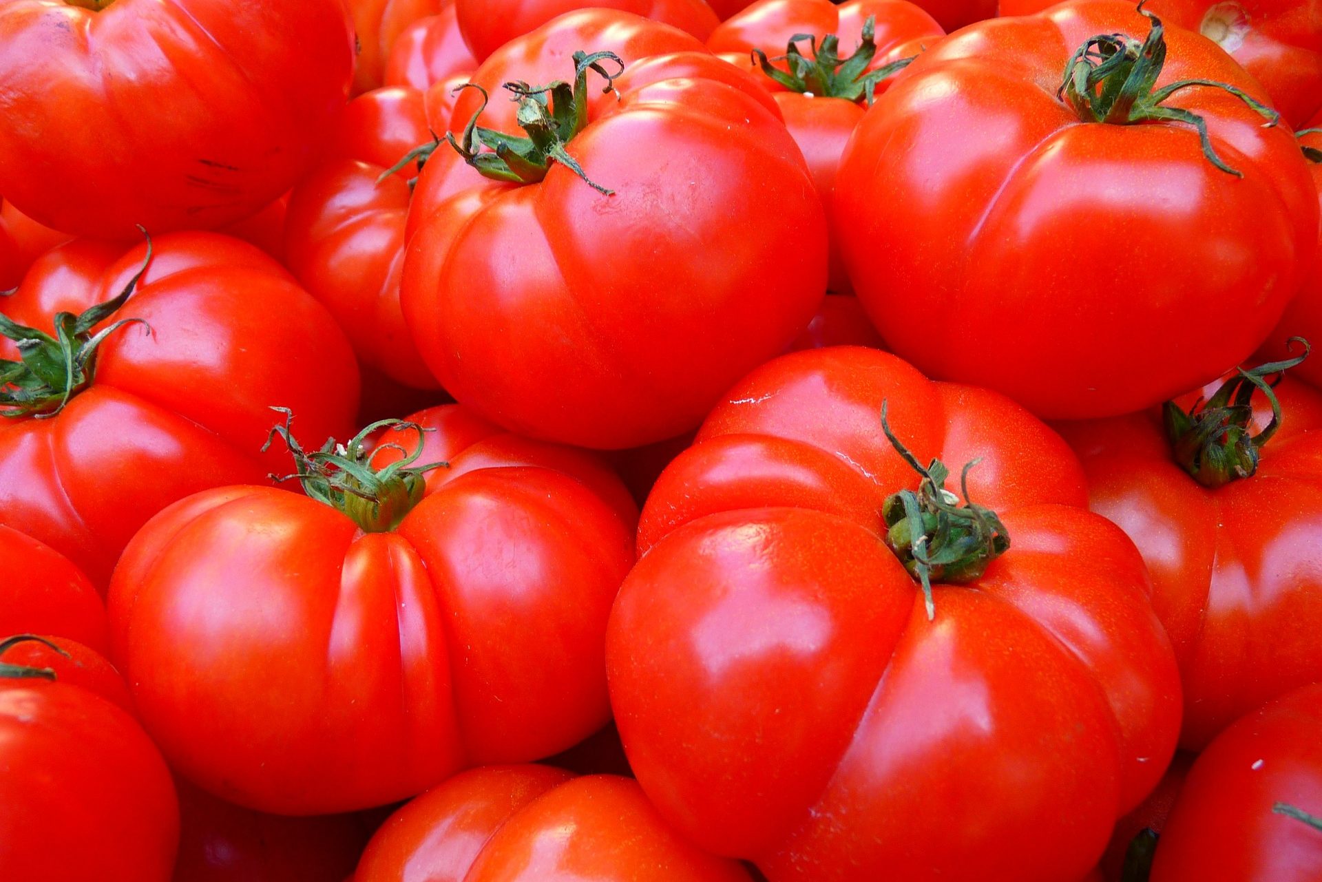 Die Tomate - Wissenswertes, Nährwerte, Allergien & Zubereitung » Krank.de