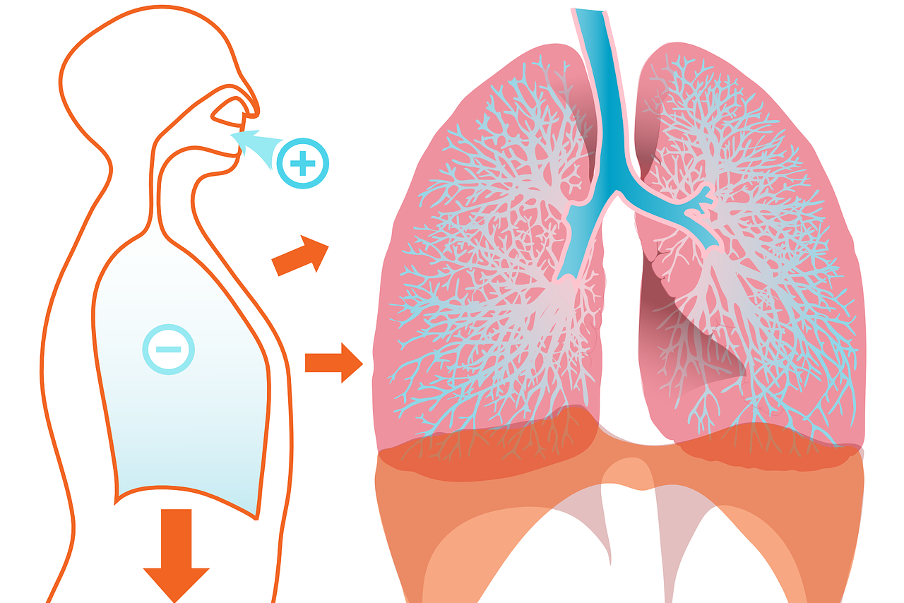 Was ist eine Dyspnoe? - Ursachen, Symptome, Behandlung » Krank.de