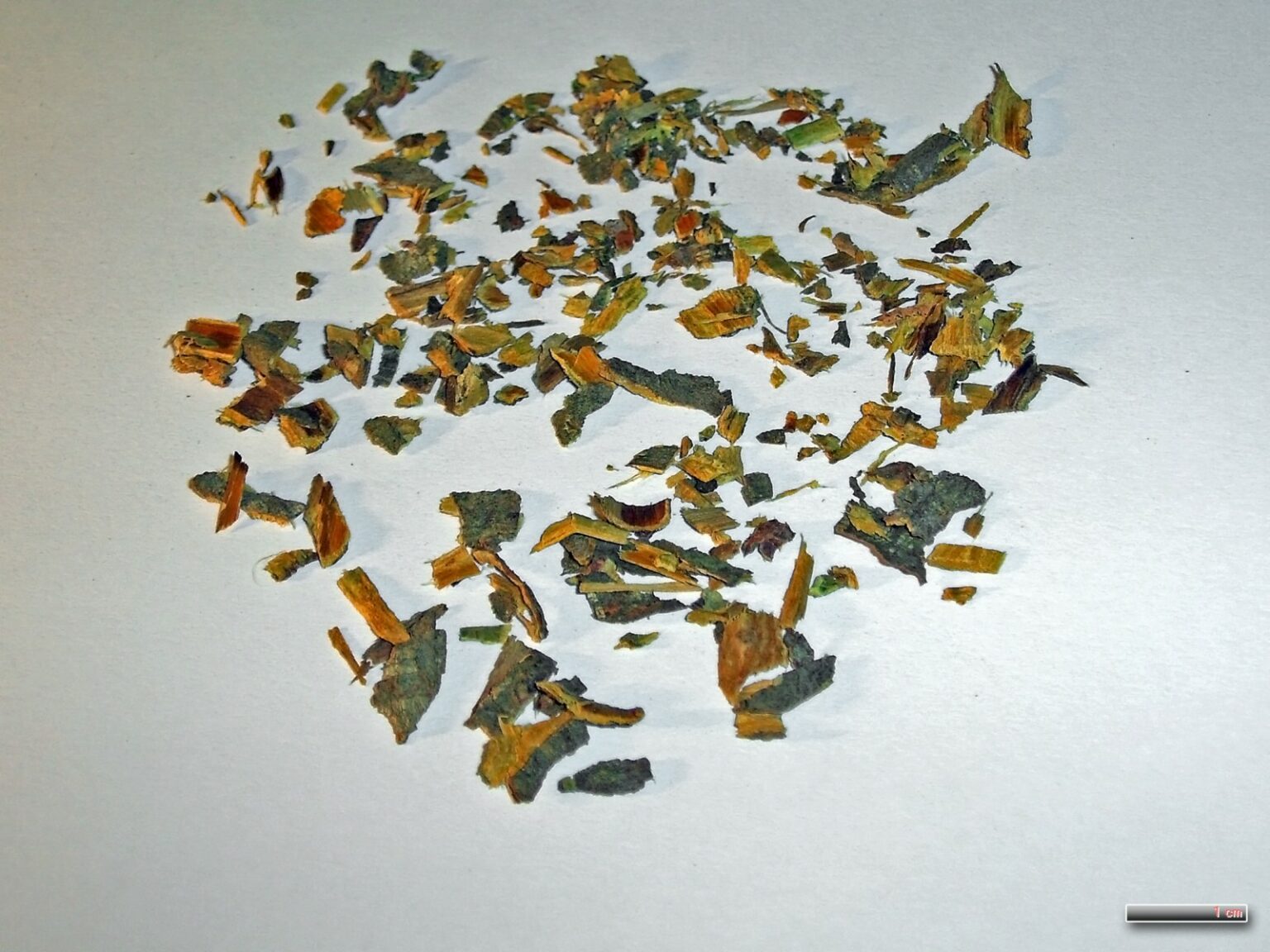 Faulbaum & Cascararinde » Anwendung, Wirkung & Risiken » Krank.de