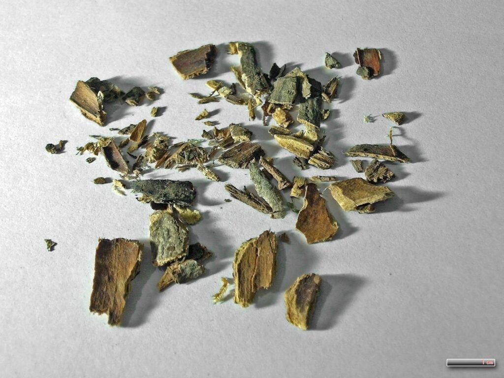 Faulbaum & Cascararinde » Anwendung, Wirkung & Risiken » Krank.de