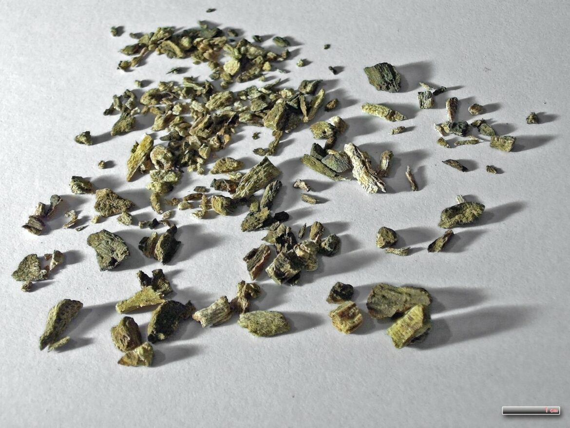 Rhabarberwurzel – Heilwirkung vom Arznei-Rhabarber » Krank.de