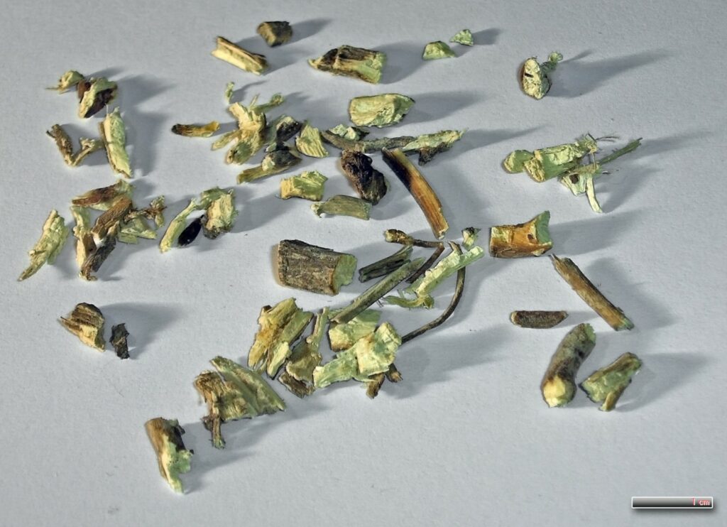 Dornige Hauhechel » Heilwirkung der Hauhechelwurzel » Krank.de